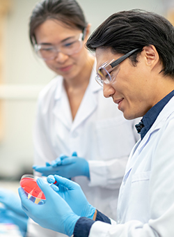 Medical Laboratory Assistant/Technician