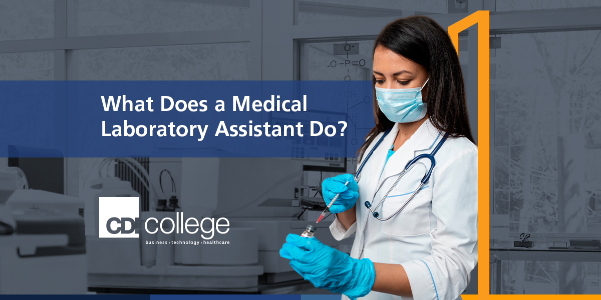 What Does a Medical Laboratory Assistant Do?